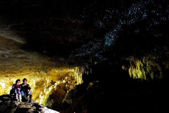 Waitomo Glowworm Caves and Auckland City Tour a Day Trip - The Practicalities: Timing, Transportation & Flexibility