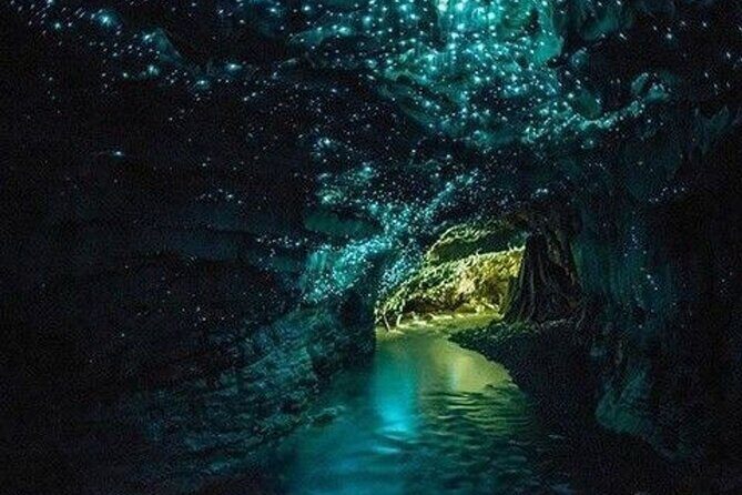 Waitomo Glowworm Caves and Auckland City Tour a Day Trip - Final Thoughts