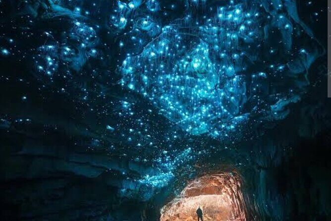 Waitomo Glowworm Caves and Ruakuri Cave - The Experience for Different Travelers