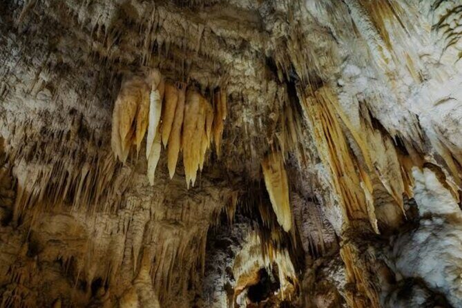 Waitomo Glowworm Caves and Ruakuri Cave - The Sum Up: Who Is This Tour Best For?