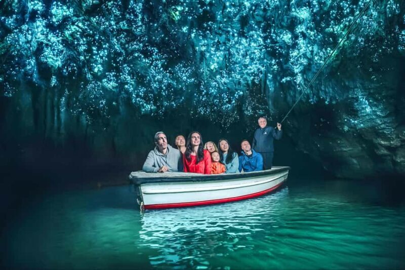 Waitomo: Glowworm Caves Guided Tour by Boat - Key Points