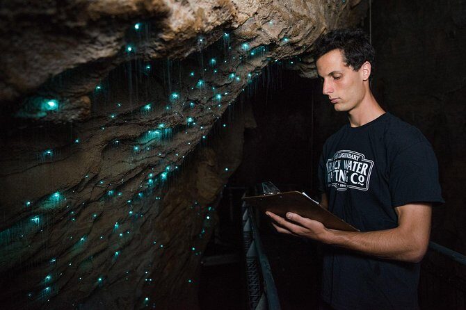 Waitomo Glowworm Caves Guided Tour - Analyzing the Experience’s Value