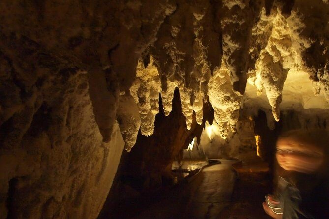 Waitomo Glowworm Caves In a Private Small Group Tour-Auckland. - Key Points
