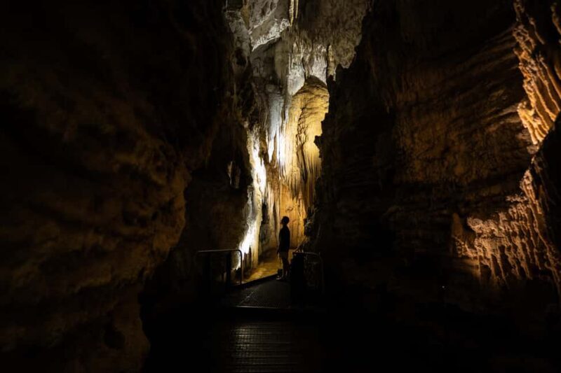 WAITOMO GLOWWORM & RUAKURI CAVES-PRIVATE TOUR FROM AUCKLAND - Experience the Magic of Waitomo Glowworm & Ruakuri Caves - Private Tour from Auckland