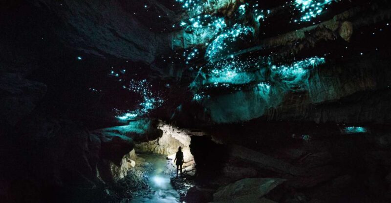 Waitomo: Guided Eco-Cave Tour - What’s Included & Practical Details
