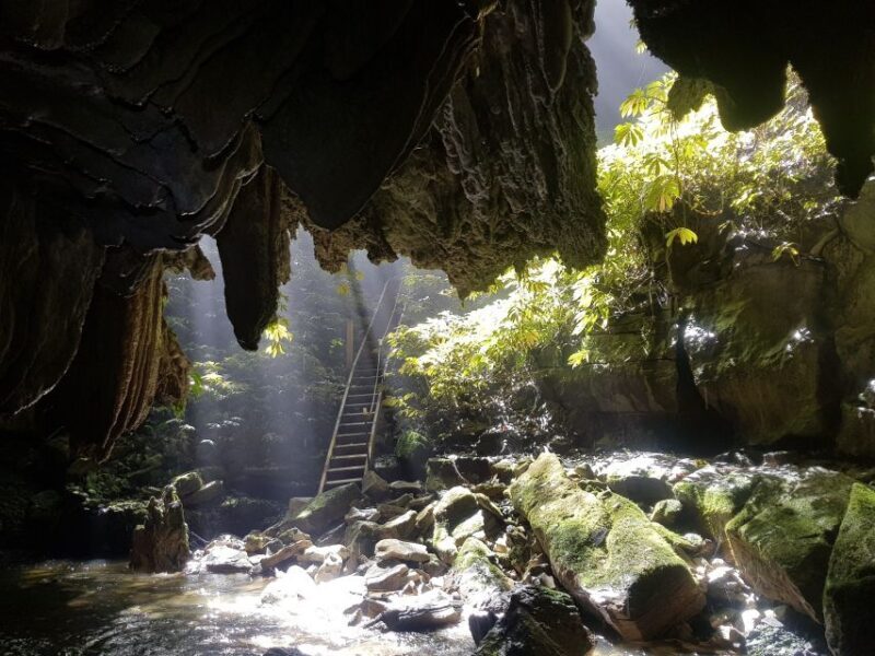 Waitomo: Guided Eco-Cave Tour - Reviews in Their Own Words