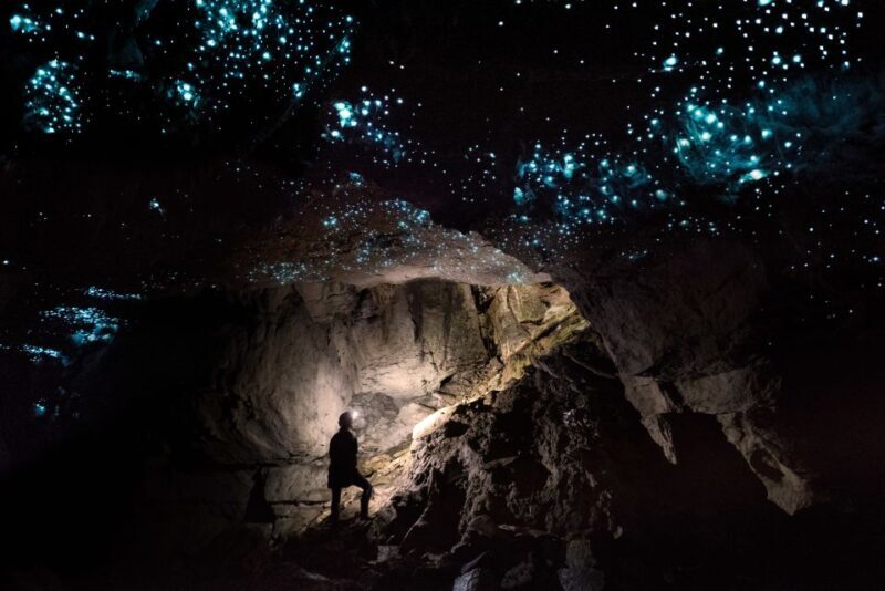 Waitomo: Guided Eco-Cave Tour - FAQ