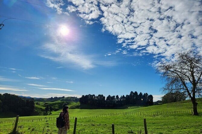 Waitomo Spellbound Glowworm Caves Small Group Tour from Auckland - Who Is This Tour Best For?