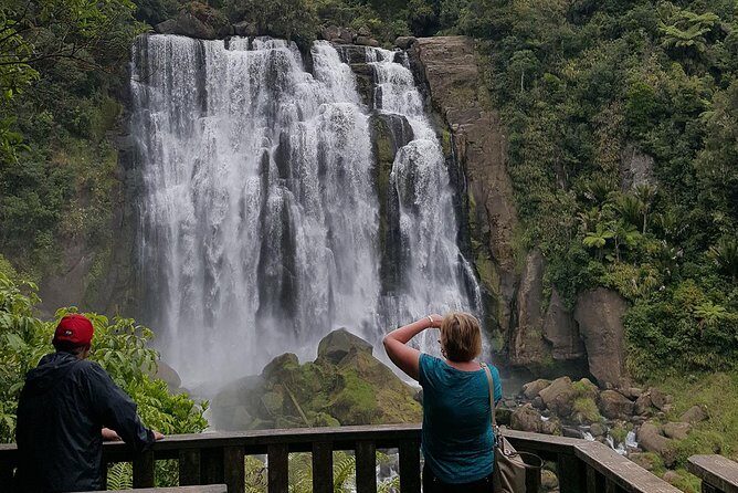 Waitomo & The King Country Exclusive Luxury Day Tour from Auckland - The Practical Side: Logistics & Value