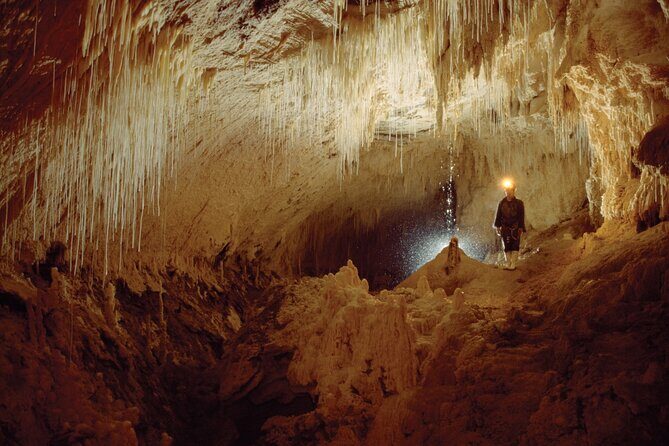 Waitomo - Twin Caves Discovery - Private Day Tour from Auckland - A Deep Dive into the Experience