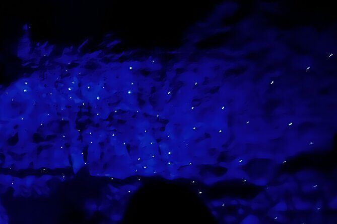 Waitomo - Twin Caves Discovery - Private Day Tour from Auckland - The Sum Up