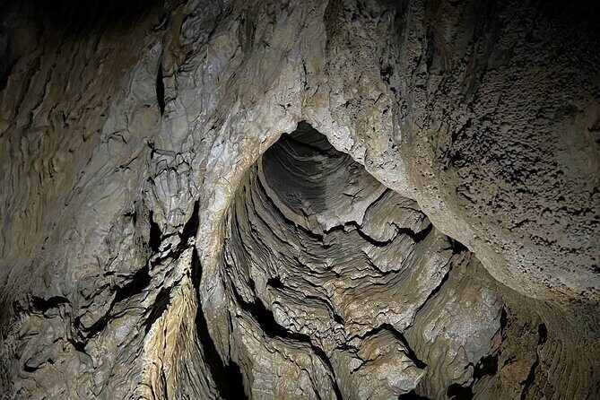 Waitomo - Twin Caves Discovery - Private Day Tour from Auckland - FAQ