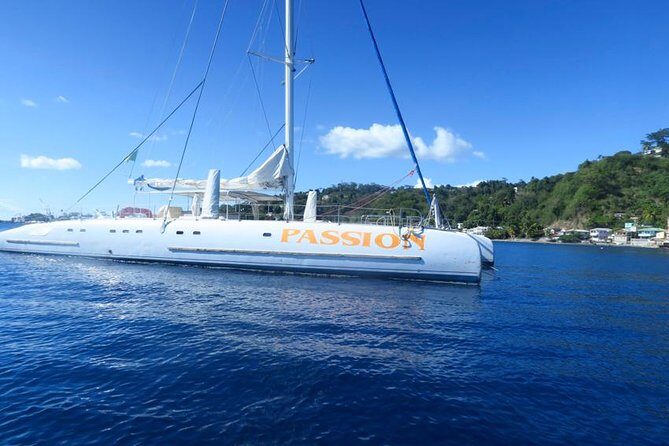 Waitukubuli Dolphin and Whale Watch in Dominica - Authentic Reviews and What They Tell Us