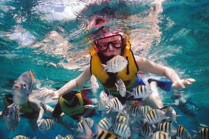 Waitukubuli Volcano Snorkeling - Introduction to the Tour Experience