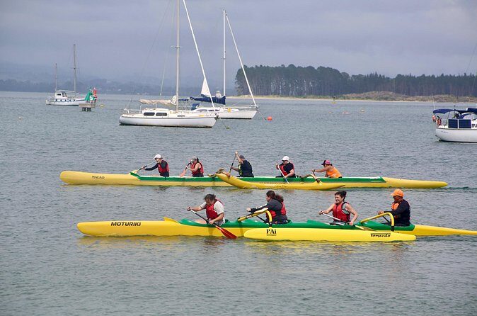 Waka Ama Lesson in Mount Maunganui - The Sum Up: Is This Waka Ama Lesson Worth It?