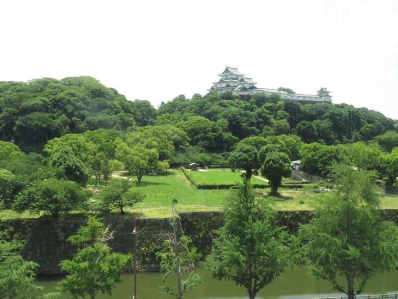 Wakayama: Castle Park Guided Walking Tour with Matcha - Key Points