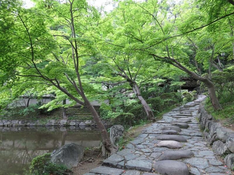 Wakayama: Castle Park Guided Walking Tour with Matcha - A Closer Look at the Itinerary and Experience