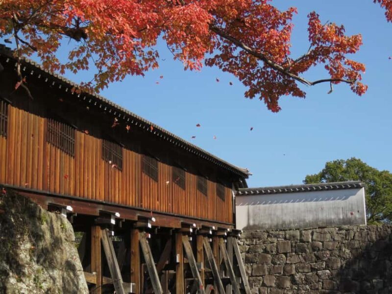 Wakayama: Castle Park Guided Walking Tour with Matcha - How It Compares to Similar Experiences