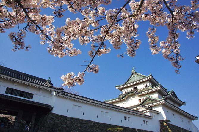 Wakayama Castle Town Walking Tour - Exploring Wakayama Castle and Surrounds