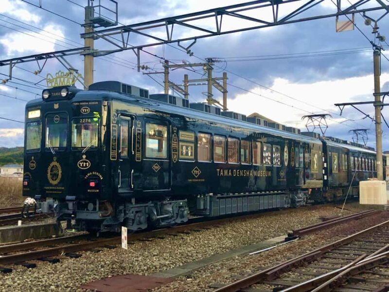 Wakayama: Cat Stationmaster Adventure on the Kishigawa Line - Practical Details and Value