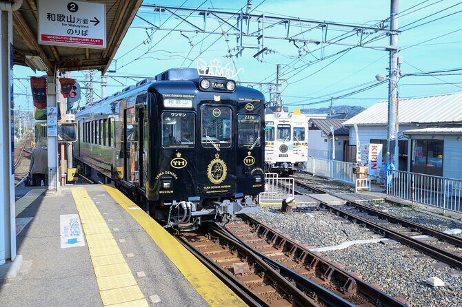 Wakayama: Cat Stationmaster Adventure on the Kishigawa Line - Key Points