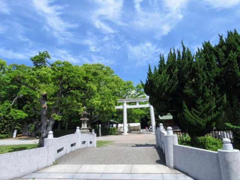 Wakayama: Cat Stationmasters and Local Myths, Train Tour - Exploring Wakayama’s Charm on a Train