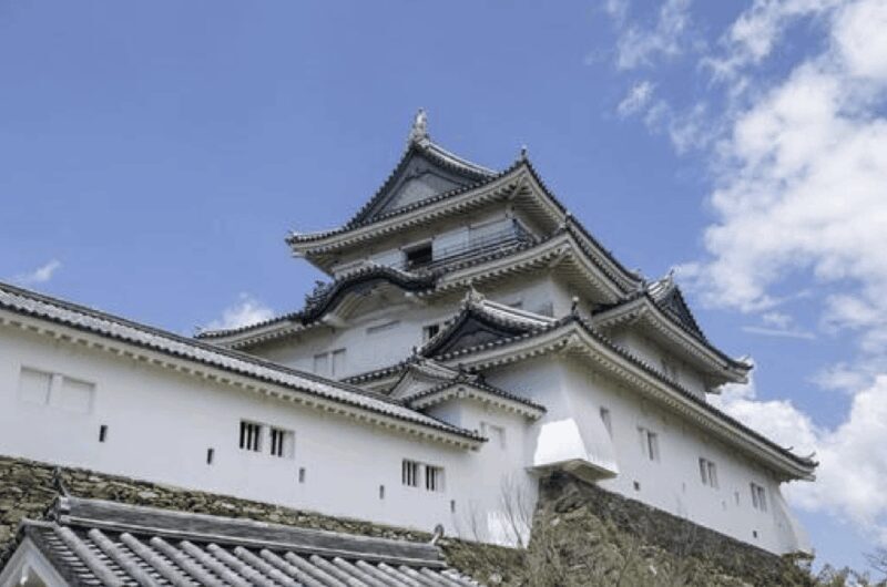 Wakayama: Customizable Private Day Tour - Introduction