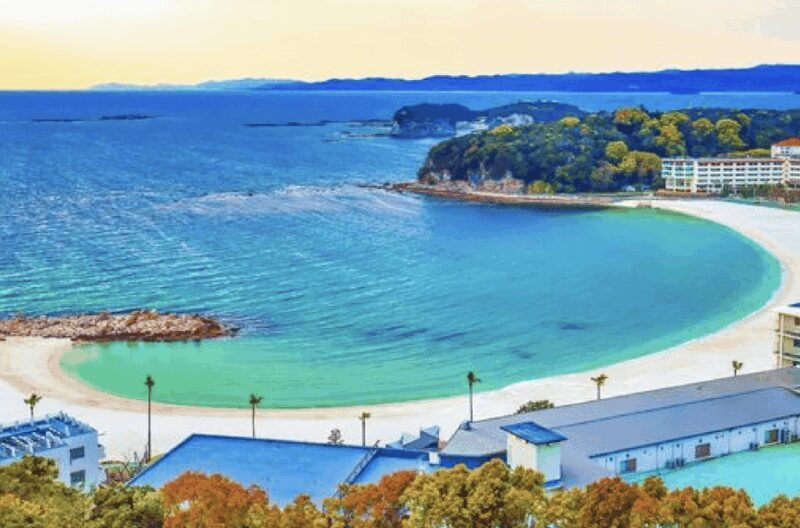 Wakayama: Customizable Private Day Tour - Exploring Wakayama: What You Can Expect