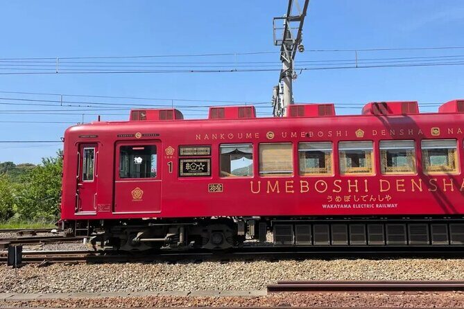 Wakayama Cute Cat and Outlet Shopping Day Tour - A Closer Look at the Itinerary