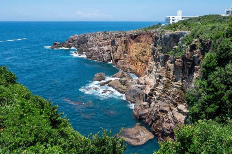 Wakayama: Day Trip to Shirahama Beach & Kuroshio Market - An Overview of the Wakayama Day Trip