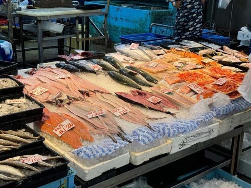 Wakayama: Explore Japans Seafood Culture at Toretore Market - Key Points