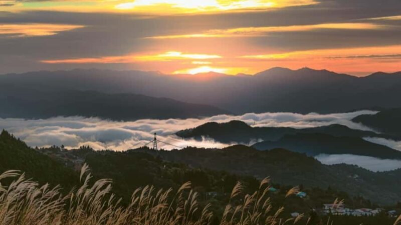 Wakayama: Hidden Coastal Nature & Sunset Tour From Osaka - Key Points