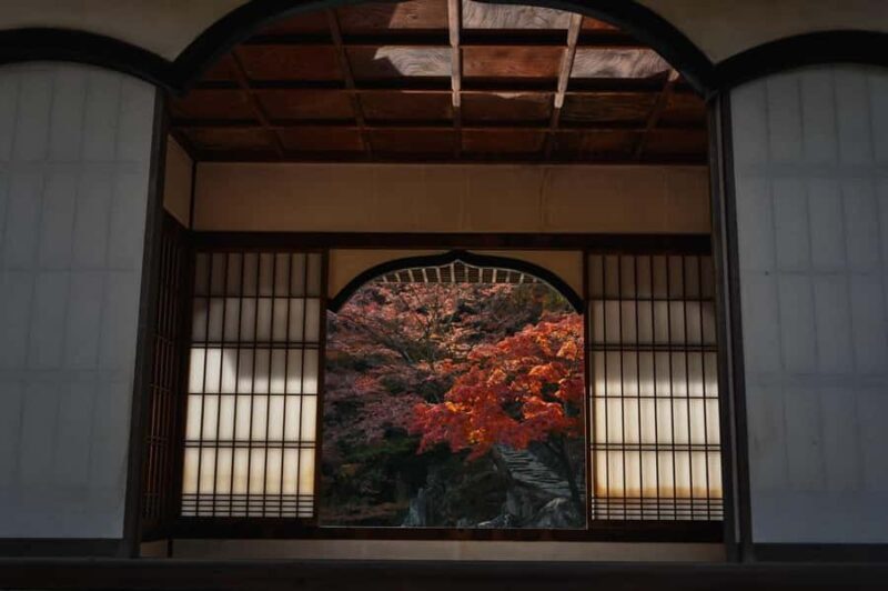 Wakayama: Hidden Coastal Nature & Sunset Tour From Osaka - Why This Tour Stands Out