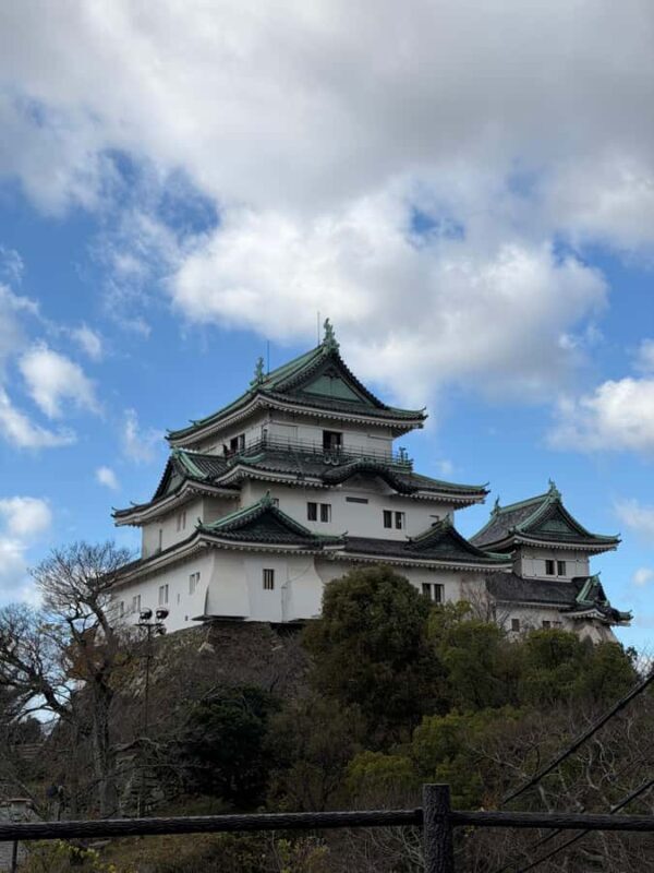 Wakayama: Hidden Coastal Nature & Sunset Tour From Osaka - The Sum Up