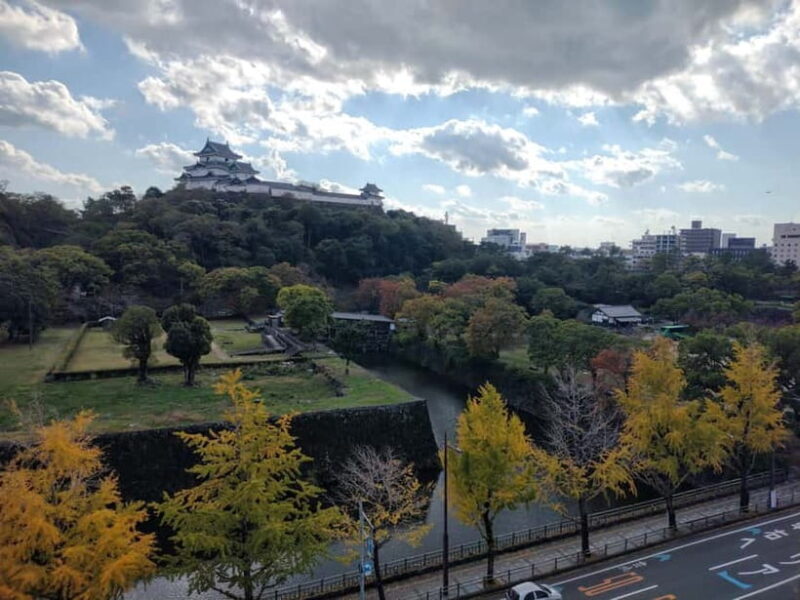 Wakayama: Historical Costume Rental and Castle Tour - Key Points