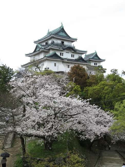 Wakayama: Historical Costume Rental and Castle Tour - FAQ