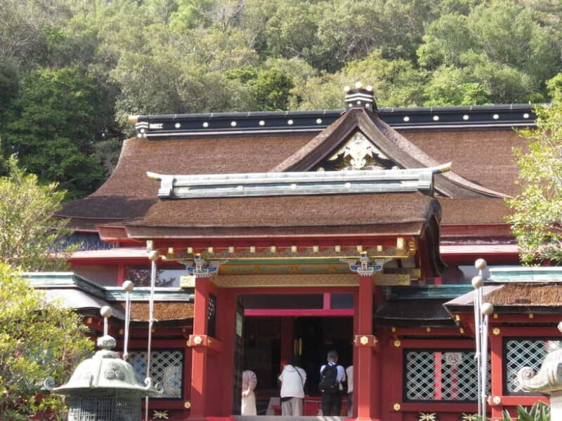 Wakayama: Instax Camera Photo Tour in Wakaura Area - Why Choose This Tour?