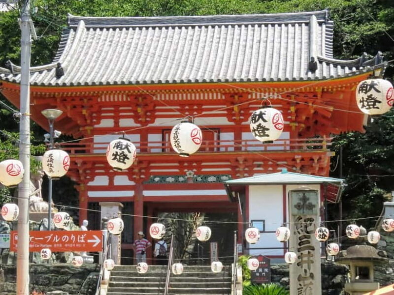 Wakayama: Instax Camera Photo Tour in Wakaura Area - The Value of This Tour