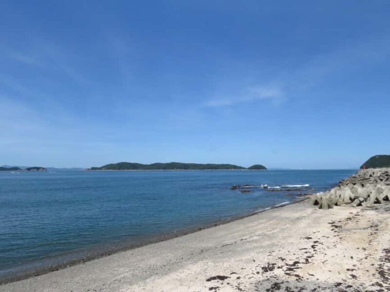 Wakayama: Kada Cycling Tour with Medetai Train Ride - Practical Details and Value