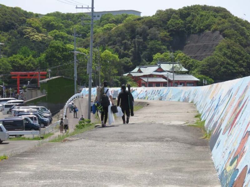 Wakayama: Kada Cycling Tour with Medetai Train Ride - What to Expect and What to Keep in Mind