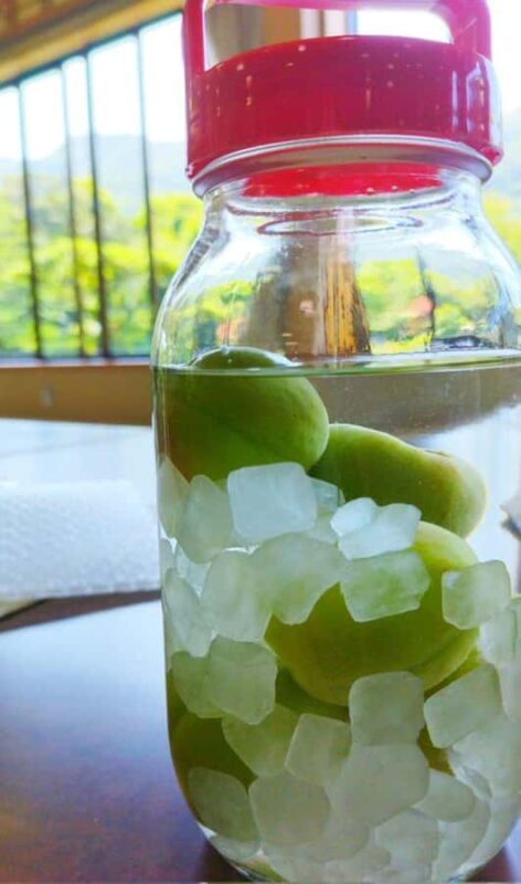 Wakayama: Kainan Plum Liqueur Factory and Historical Spots - The Value of This Tour