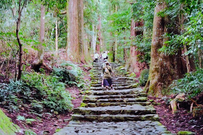 Wakayama: Kumano Kodo Sacred Walk to Nachi in Heian Attire - Practical Details and What They Mean for You