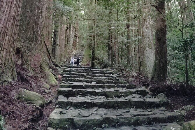 Wakayama: Kumano Kodo Sacred Walk to Nachis Sacred Sites - What’s included, what’s not