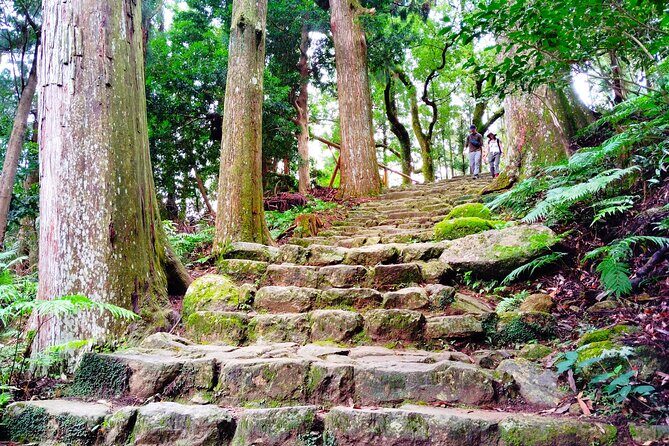 Wakayama: Kumano Kodo Sacred Walk to Nachis Sacred Sites - Conclusions: Who is this tour best suited for?