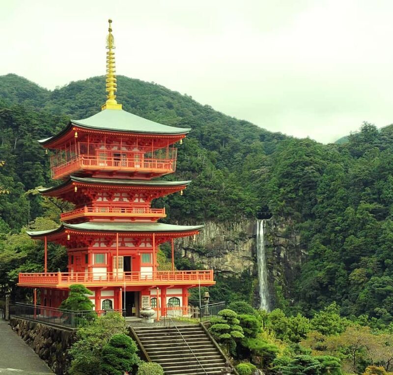 Wakayama: Kumano Nachi Taisha, Seiganto-ji & Waterfall Tour - An Authentic Look at Sacred Wakayama