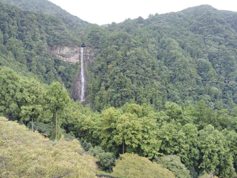 Wakayama: Kumano Nachi Taisha, Seiganto-ji & Waterfall Tour - Practical Details and What to Expect