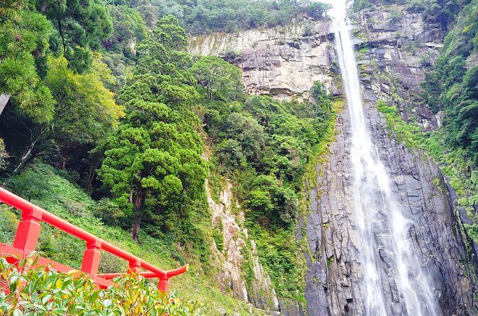 Wakayama: Kumano Nachi Taisha, Seiganto-ji & Waterfall Tour - Who Should Book This?