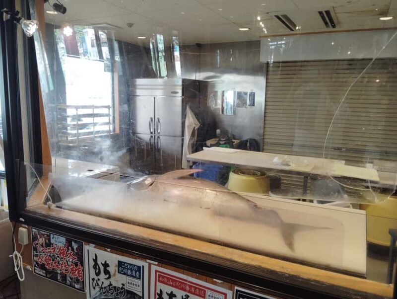 Wakayama: Learn & Taste Japan Tuna Culture in Nachikatsuura - Final Thoughts