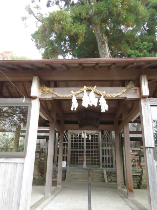 Wakayama: Legend of Princess Nagusa Tobe Walking Tour - Scenic Break at Kameike Park