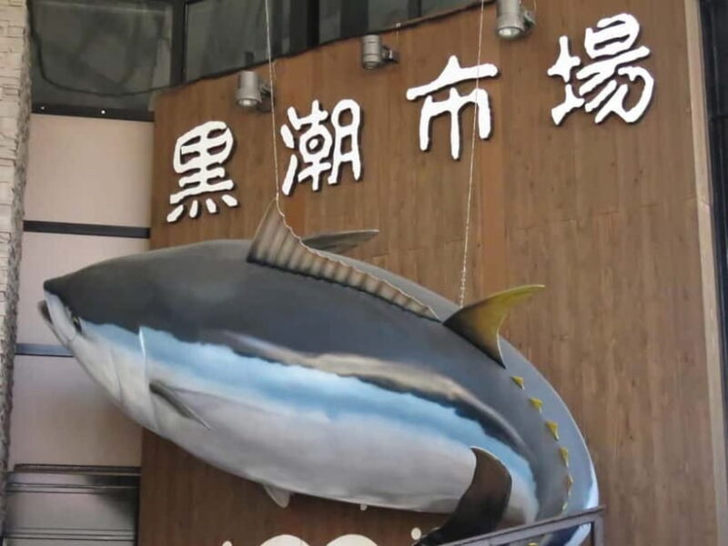 Wakayama: Marina City and Kuroe Area tour - Key Points